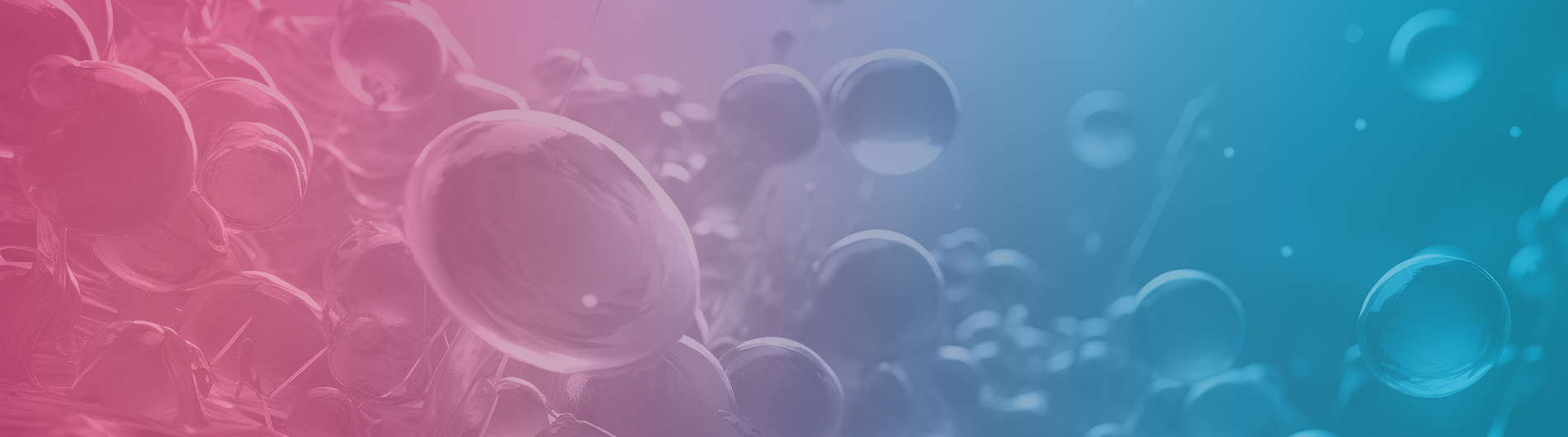 Zellen Biotech | Leading Manufacturer of IVD Instruments in India, ESR ...